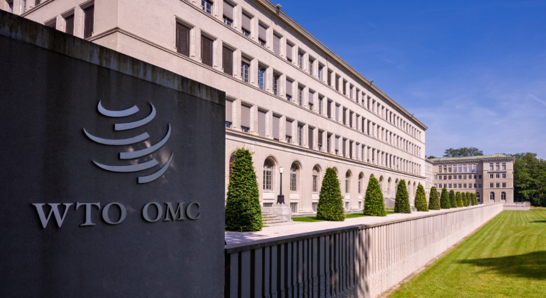 WTO Geneva Package: a breakthrough for Africa? | Inventa
